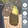 Sea to Summit Ultra-Sil Nano Dry Sack, Featherlight Dry Bag in Kenya ...