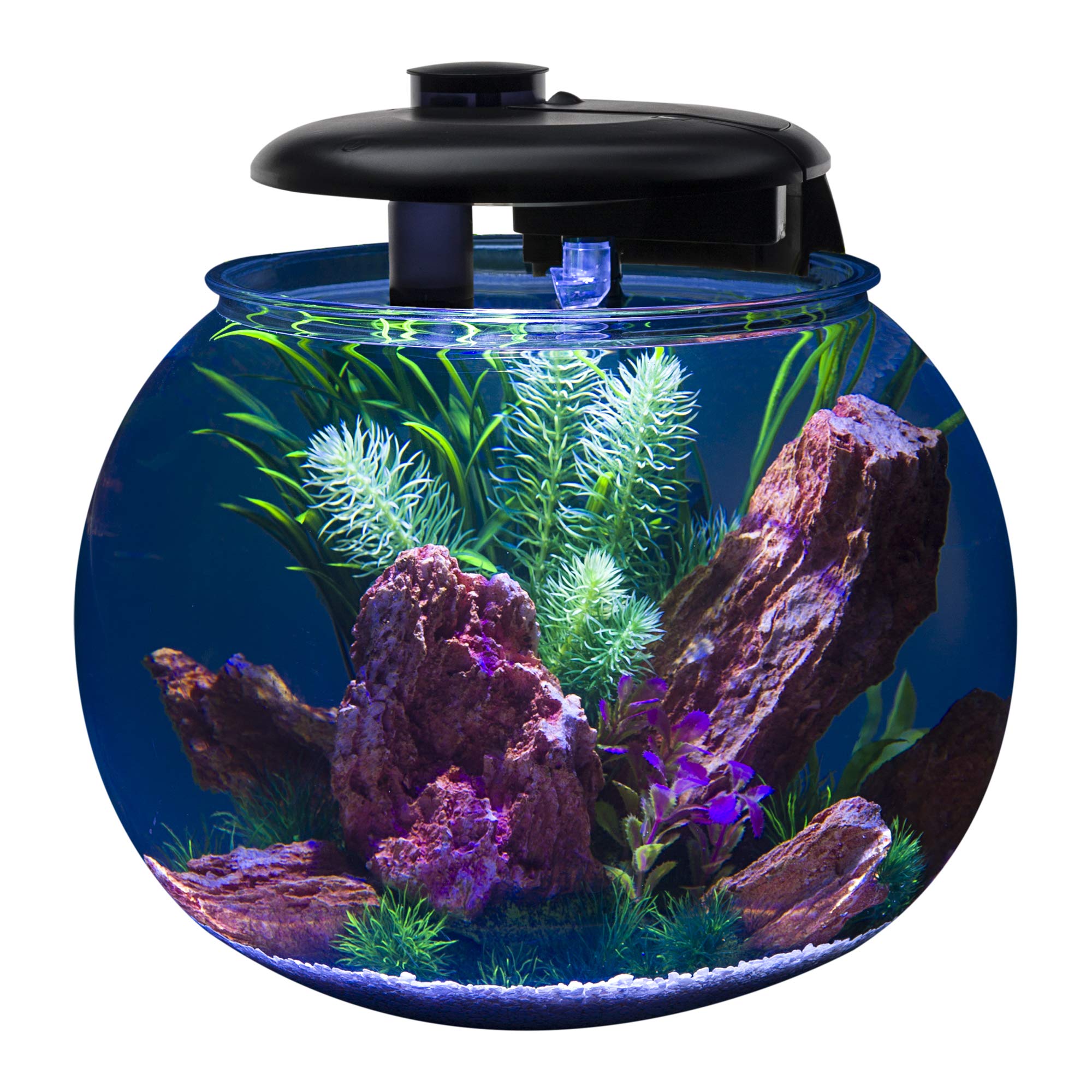 Mua Penn-Plax AquaSphere 360 Large Bowl-Shaped Aquarium for Freshwater ...