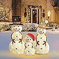 Amazon.com: Zcdl Lamp Outdoor Christmas Decorations, 3 Pieces 2D ...