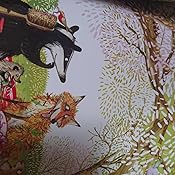 Tidy: Amazon.co.uk: Gravett, Emily: 9781447273981: Books