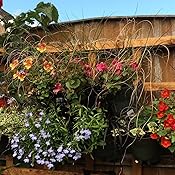 Wonderwall Self Watering Vertical 3 Pocket Garden Wall Planter Outdoor ...