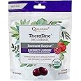 Amazon.com: Quantum Health TheraZinc USDA Organic Zinc Lozenges ...