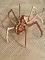 Amazon.com: IncrediBuilds: Harry Potter: Aragog Deluxe Book and Model ...
