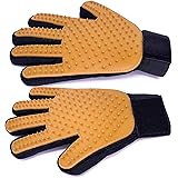 Amazon.com : Gold Foil Thank You Note Card Pack - Set of 50 cards ...