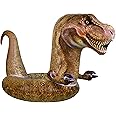 Amazon.com: Coconut Outdoor Giant Tyrannosaurus Rex Pool Float ...