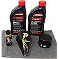 Amazon.com: Power Performance 10W-30 Oil Change Kit for Kawasaki 49065 ...