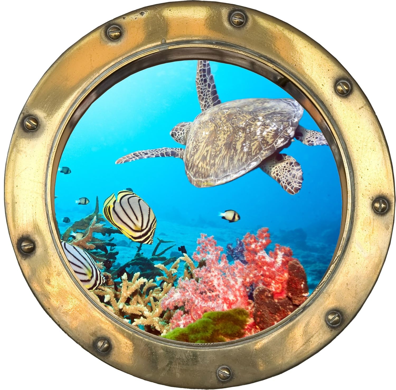 Stickersnews Aufkleber Bullauge, Karibik, Maße: 20 x 20 cm: Amazon.de ...