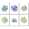 Amazon.com: Succulent Wall Art Prints (Set of 6) - 8x10 - Unframed ...