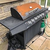 FirePlus CosmoGrill 6+1 Gas Burn Grill BBQ Barbecue w/Side Burner ...