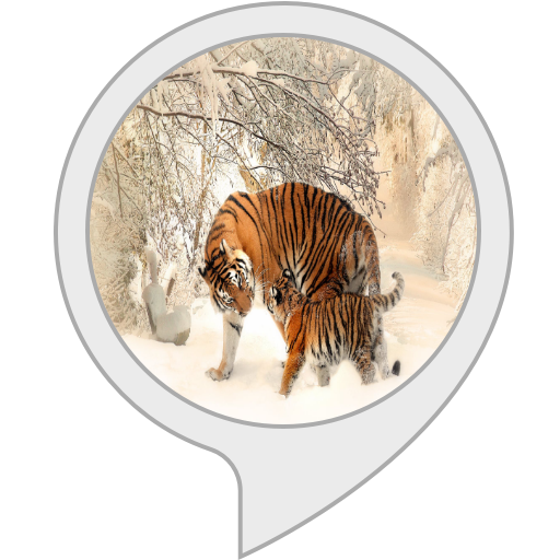 Sound of Animals : Amazon.in: Alexa Skills
