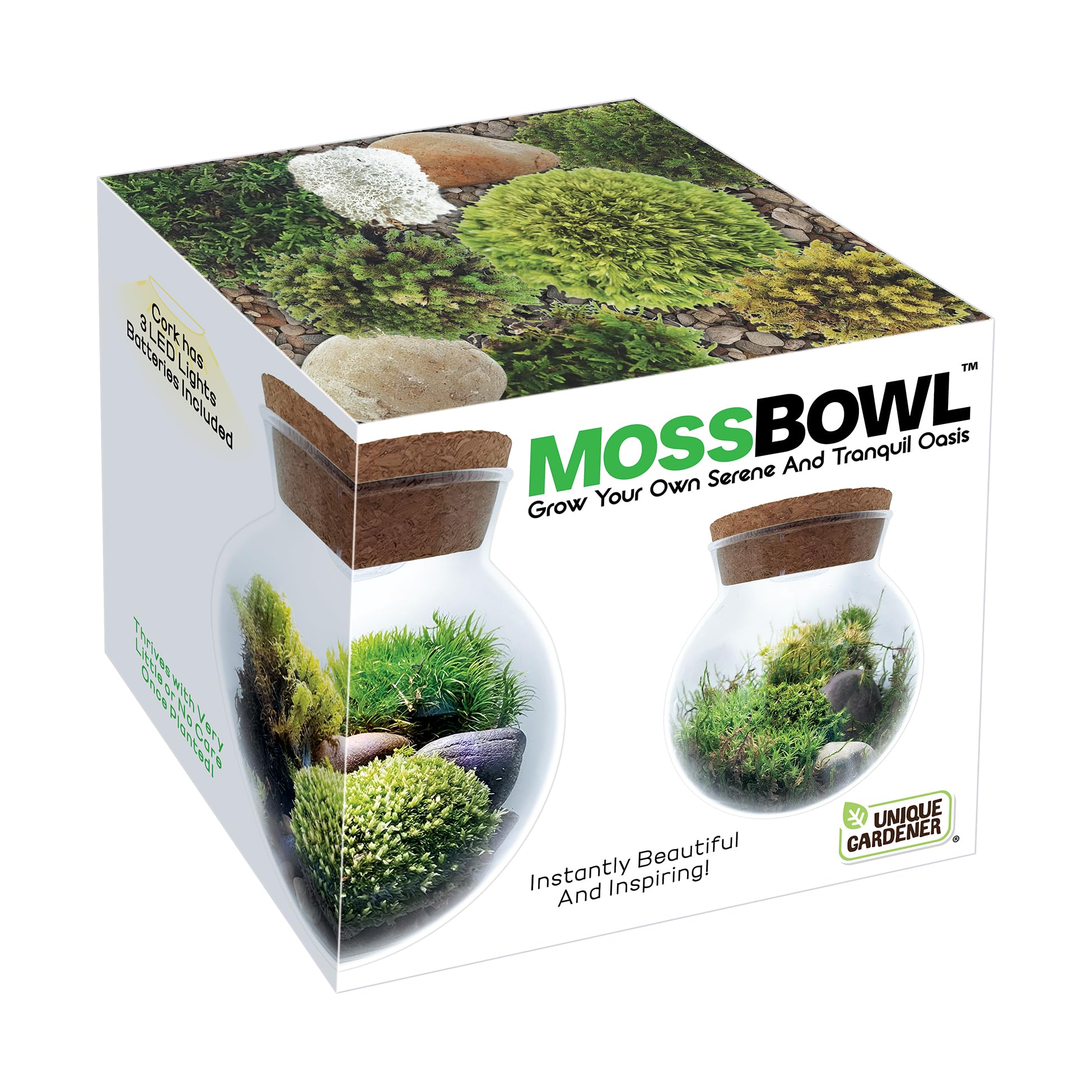 Create Your Serene Moss Sanctuary with The Unique Gardener Moss Bowl ...