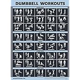 Laminated Dumbbell Exercise Poster/Chart - Shoulders and Arms - Created ...