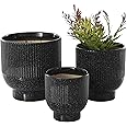 Amazon.com: Deco 79 Ceramic Indoor Outdoor Planter Speckled Small ...