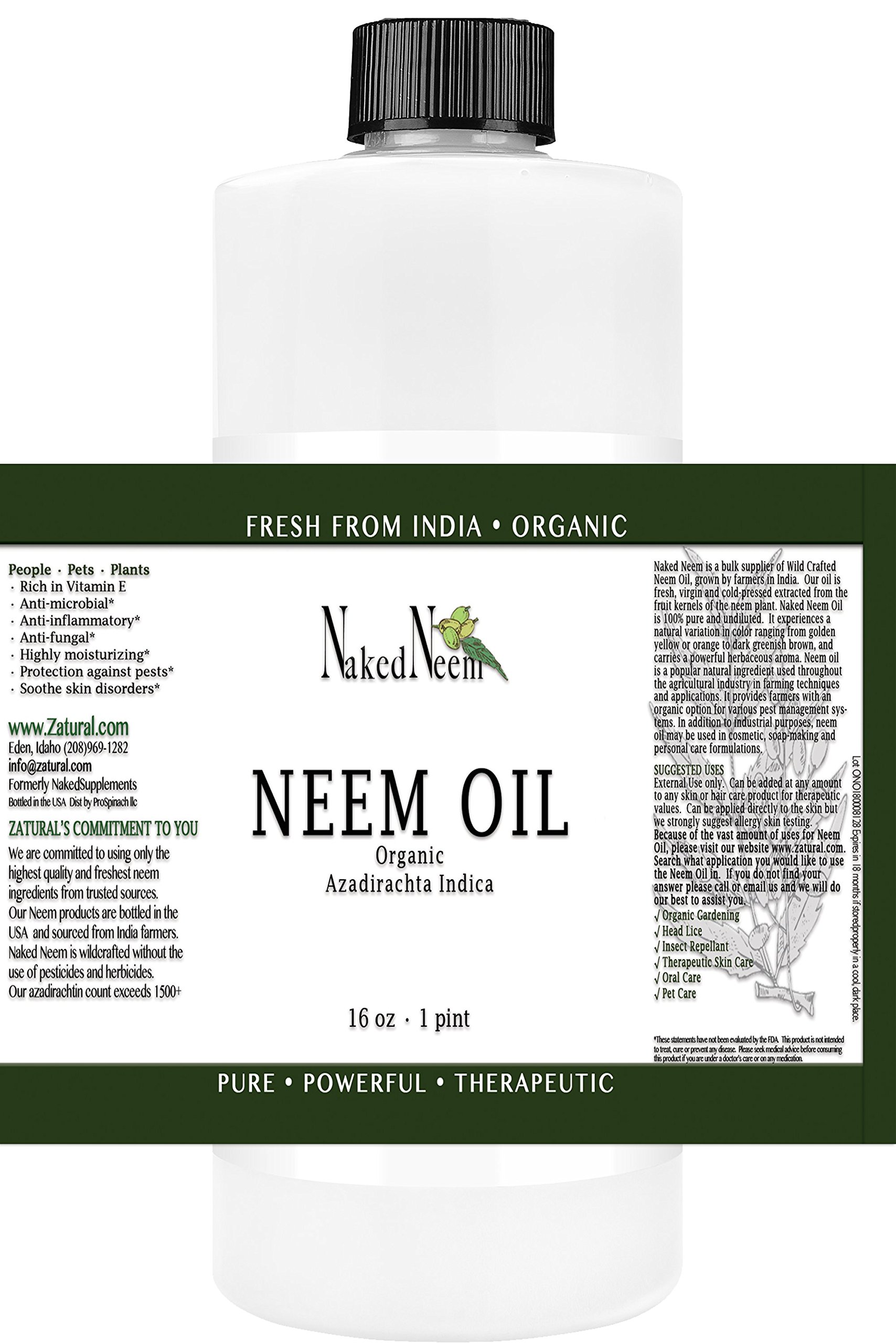 Amazon.com : Dr. Bronner's Sal Suds Biodegradable Cleaner - 32 oz ...