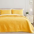 Amazon.com: Exclusivo Mezcla Queen Quilt Bedding Set, Lightweight ...