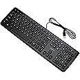Amazon Basics Wired Keyboard, black : Amazon.ca: Electronics