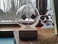 Amazon.com: Kikkerland Solar Radiometer : Home & Kitchen
