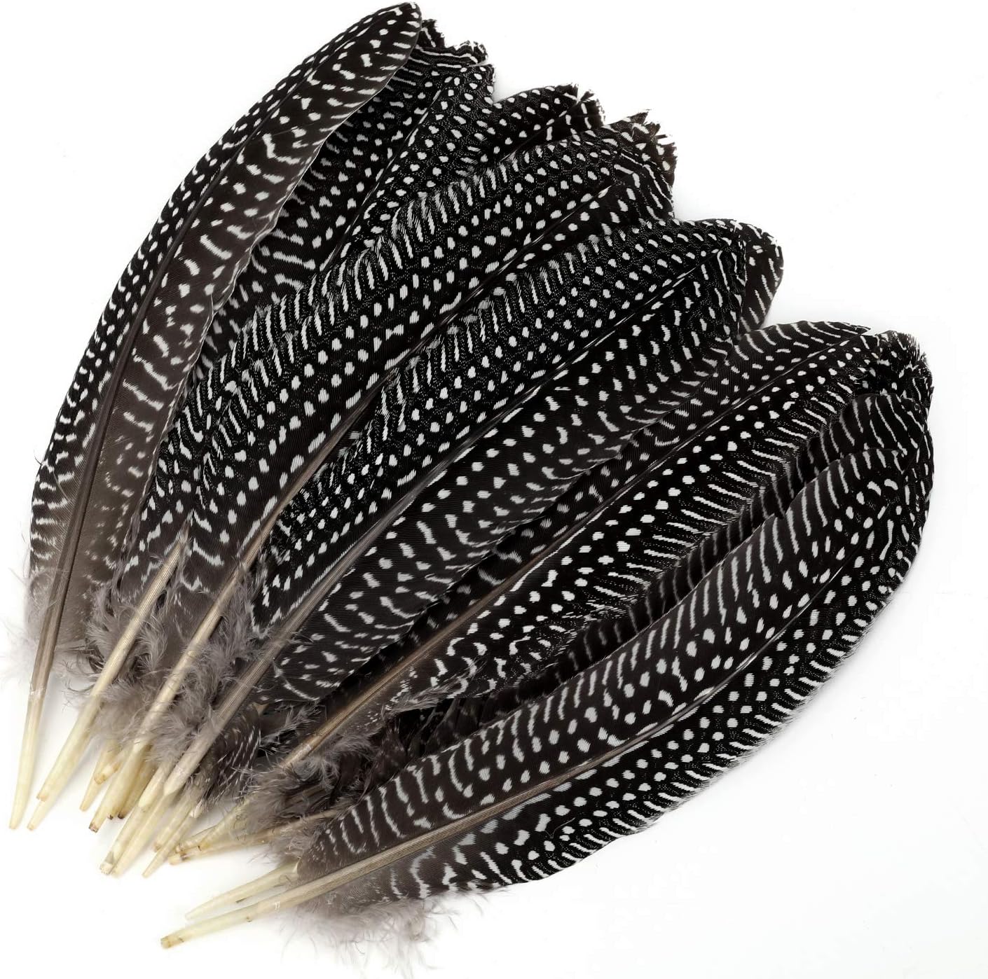 MWOOT 20 stück Natur Dekoration fasan Federn, 15-20 cm läng, Gepunktete ...