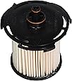 Amazon.com: Motorcraft FD4621 Fuel Filter: Automotive
