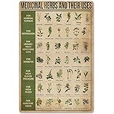 Amazon.com: Flyhaw Medicinal Herbs and Their Uses Posters Metal Signs ...