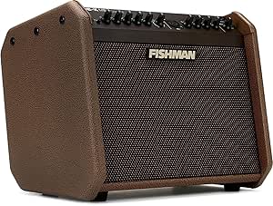 Amazon.com: Fishman Loudbox Mini Charge 60-Watt 1x6.5 Inches Battery ...