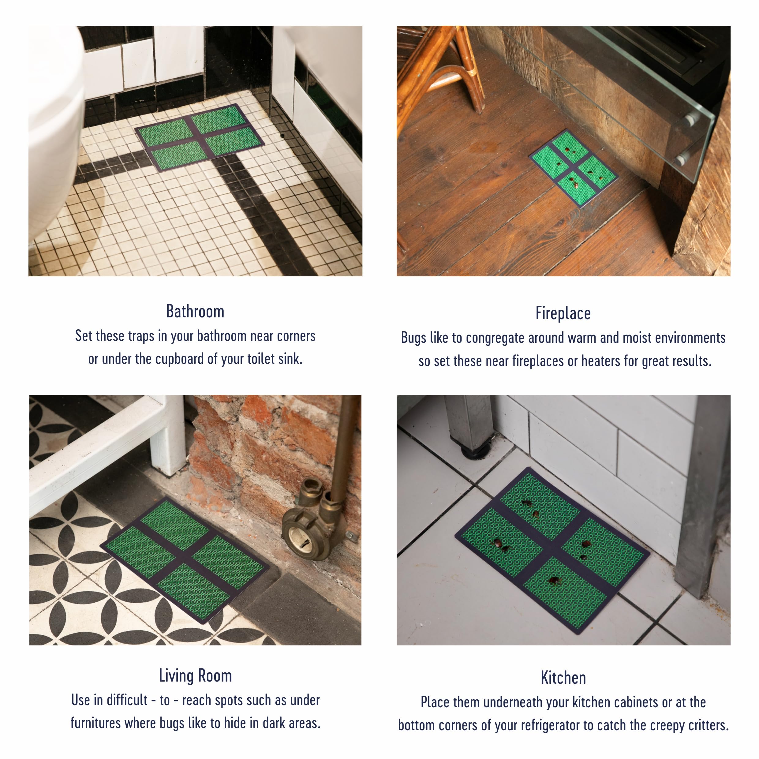 Mua Catcher Labs Mini Insect Traps (48 Traps) | Extra Sticky Pre-Baited ...
