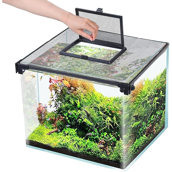 One-way Door Fish Catcher Acrylic Crab & Fish Trap - 5.1" Transparent ...