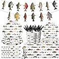 Amazon.com: Gone Fishing Party Decoration,142 Pcs Fishing Themed ...