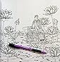 Amazon.com: Zendoodle Coloring Presents Fairies in Dreamland: An Artist ...