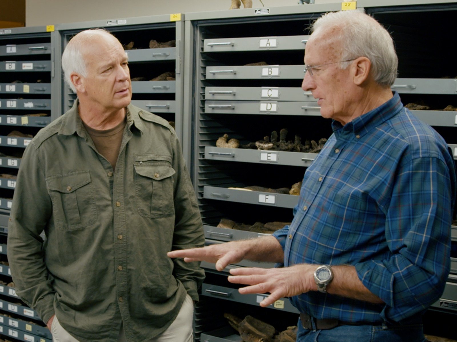 Watch Beyond Is Genesis History? | Prime Video