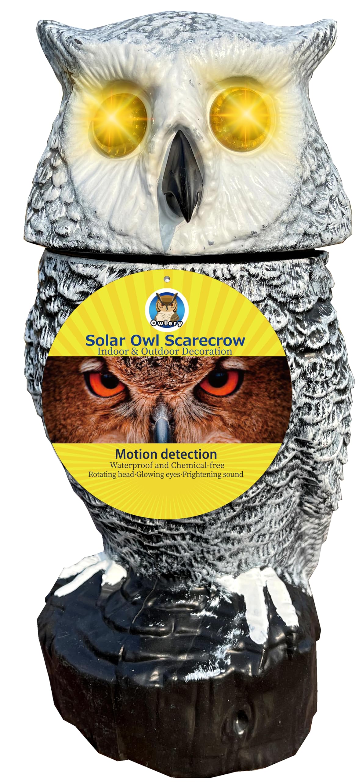 Owlery Snowy Solar Owl with Motion Detector, Flashing Eyes, Spinning ...