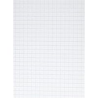 Amazon.com: School Smart Graph Paper, 1/2 Inch Rule, 9 x 12 Inches ...