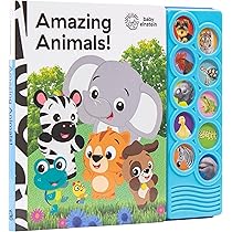 Amazon Baby Einstein Wild Animal Safari Baby Einstein My First Signs