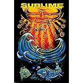 Amazon.com: Sublime Sun Paper Art Poster and Wall Art Picture Print ...