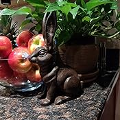 Amazon.com : Cast Iron Sitting Bunny Rabbit Garden Statue Patio Yard ...