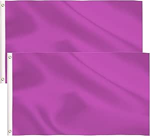 Amazon.com : 2 Pack Solid Purple Flag, 3x5 Ft DIY Solid Purple Flag ...