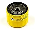 Amazon.com : Briggs & Stratton 696854 Oil Filter Replacement for Models ...