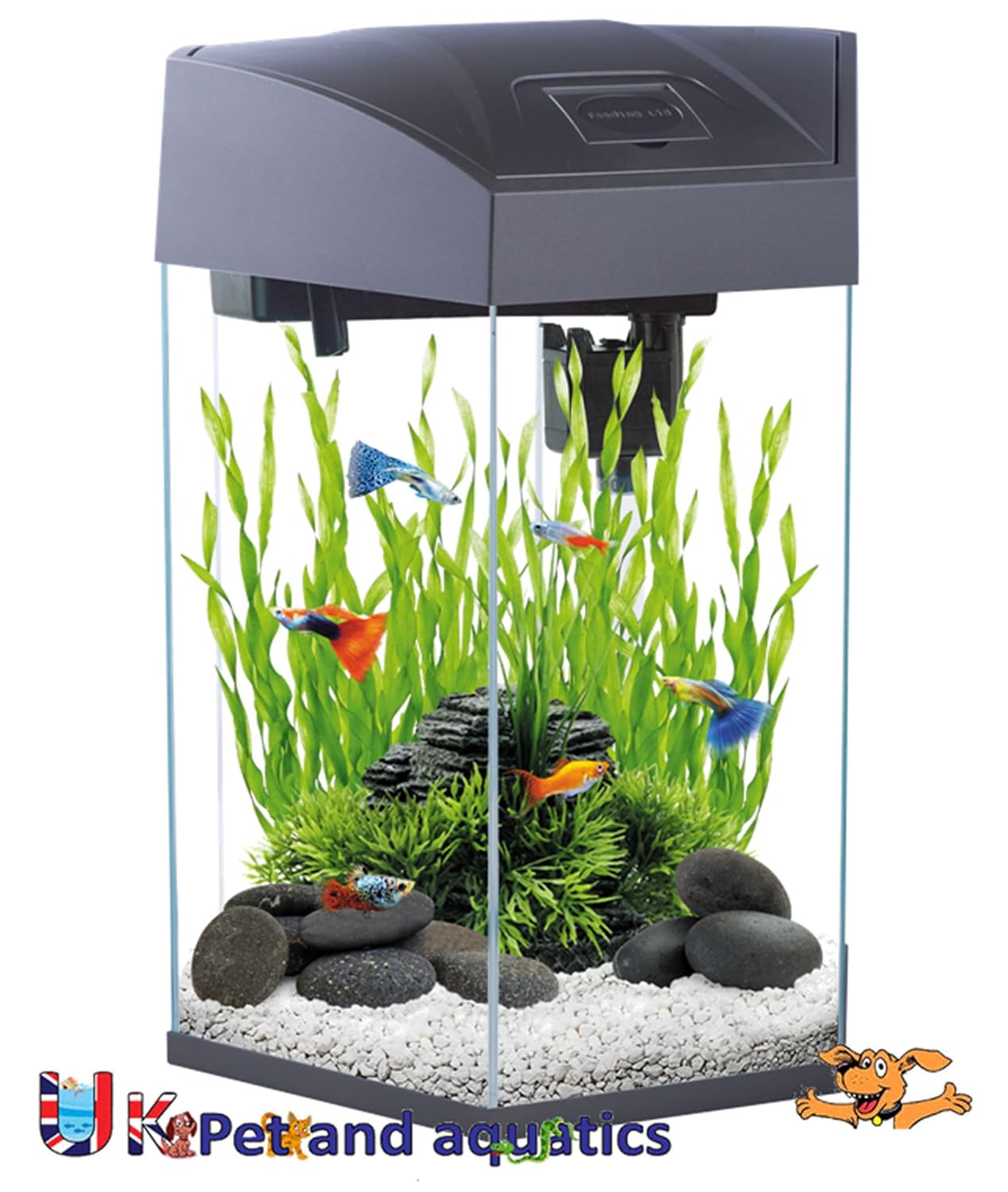 Aquatic Gardens Hexagon Fish Tank | Fasci Garden