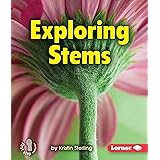 Amazon.com: Exploring Flowers (First Step Nonfiction ― Let's Look at ...