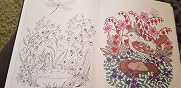 Nightfall Coloring Book (Colouring Books): Amazon.co.uk: Maria Trolle ...
