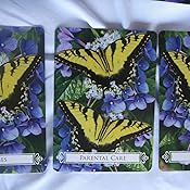 Butterfly Oracle Cards for Life Changes: A 44-Card Deck and Guidebook ...