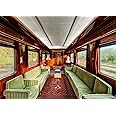 Amazon.com : BELECO 7x5ft Fabric Luxury Vintage Train Interior ...