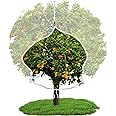 Amazon.com : 10'x10' Large Fruit Tree Netting Cover for Squirrels and Birds with Zipper, Fruit ...