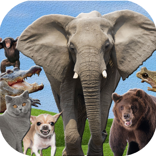 Alphabet Zoo Sounds (Full):Amazon.co.uk:Appstore for Android