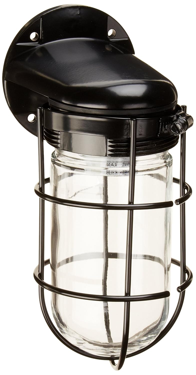 RAB Lighting VBR100GB Vaporproof Glass Globe Wire Guard Incandescent ...