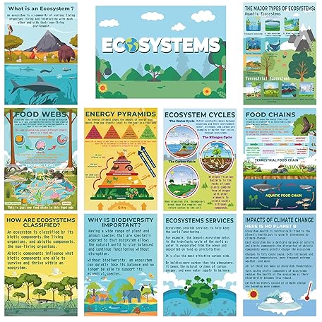 Mua Pasimy 11 Pcs Science Biology Posters Classroom Ecosystems Teaching ...