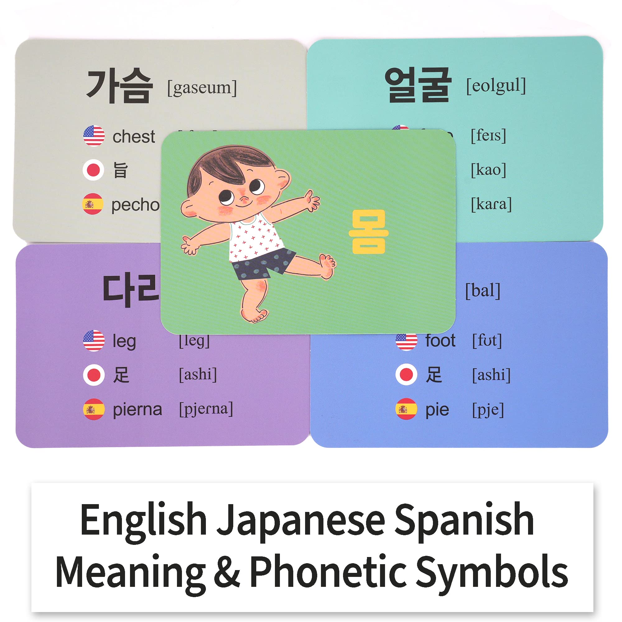 Mua Korean Word Flashcards for Beginners Hangul Flash Cards Korean ...