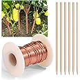 Amazon.com: Copper Wire for Electroculture Gardening Antenna, 99.9% ...