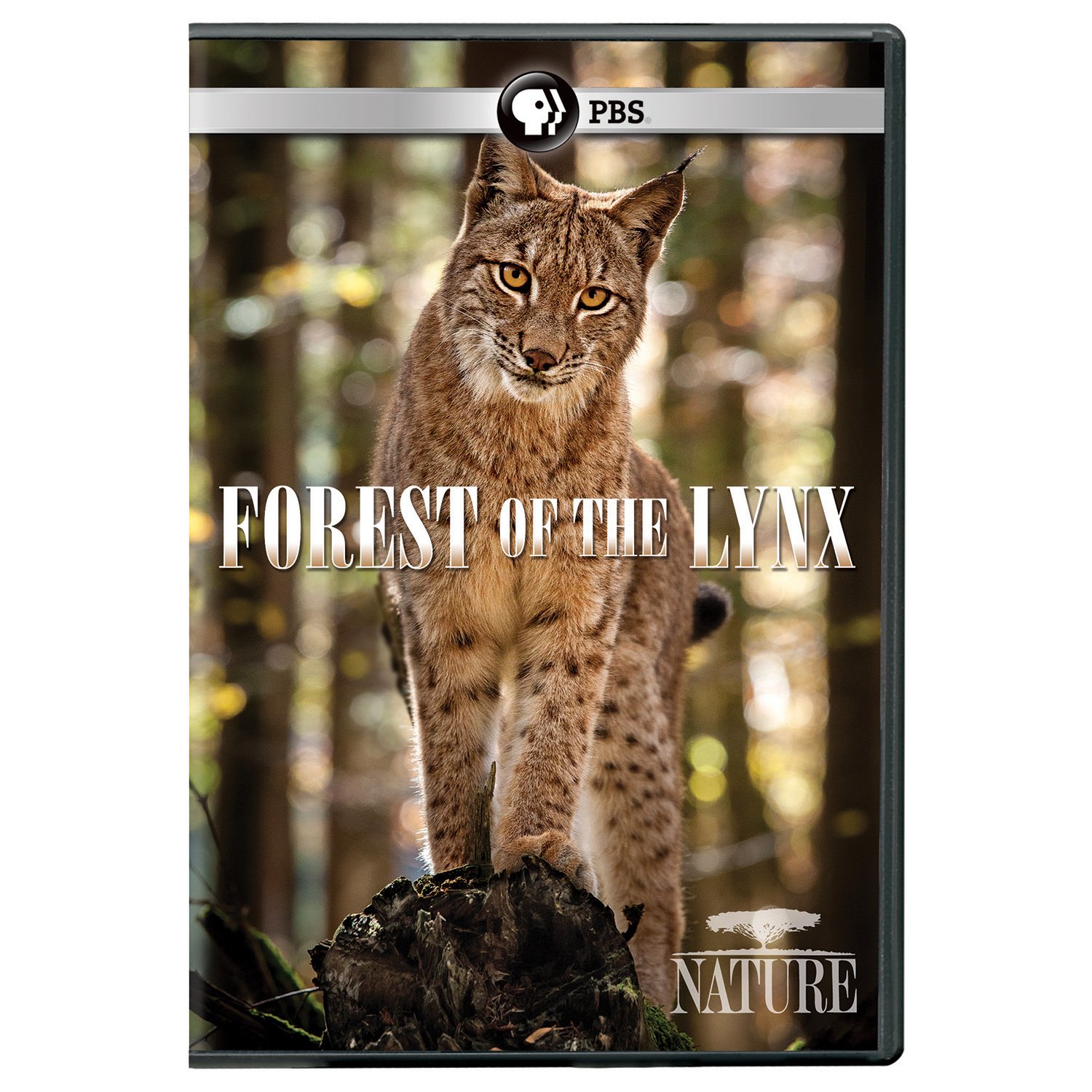 Amazon.com: NATURE: Forest of the Lynx DVD: n/a, n/a: Movies & TV