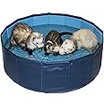 Marshall Pet Products Ferret Swiming Pool : Amazon.ca: Pet Supplies
